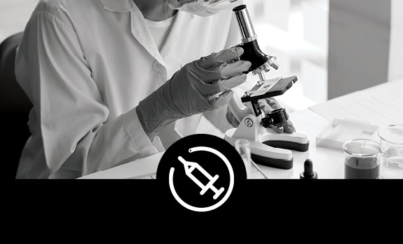 The Role of Language in the Drug Development Process