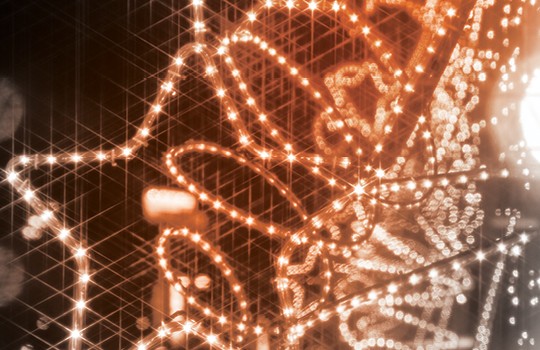 Servicios de traducción y el Día Internacional de la Mujer