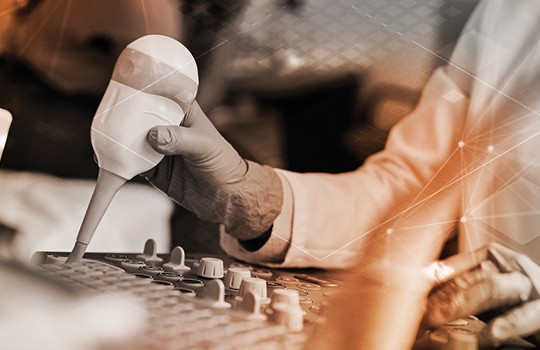 SSP 與 SSCP 語言要求的挑戰與解方